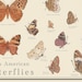 North American Butterflies Antique-style Poster, Butterfly ...
