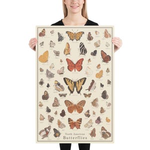 North American Butterflies Antique-style Poster, Butterfly ...