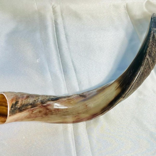 Shofar - Etsy