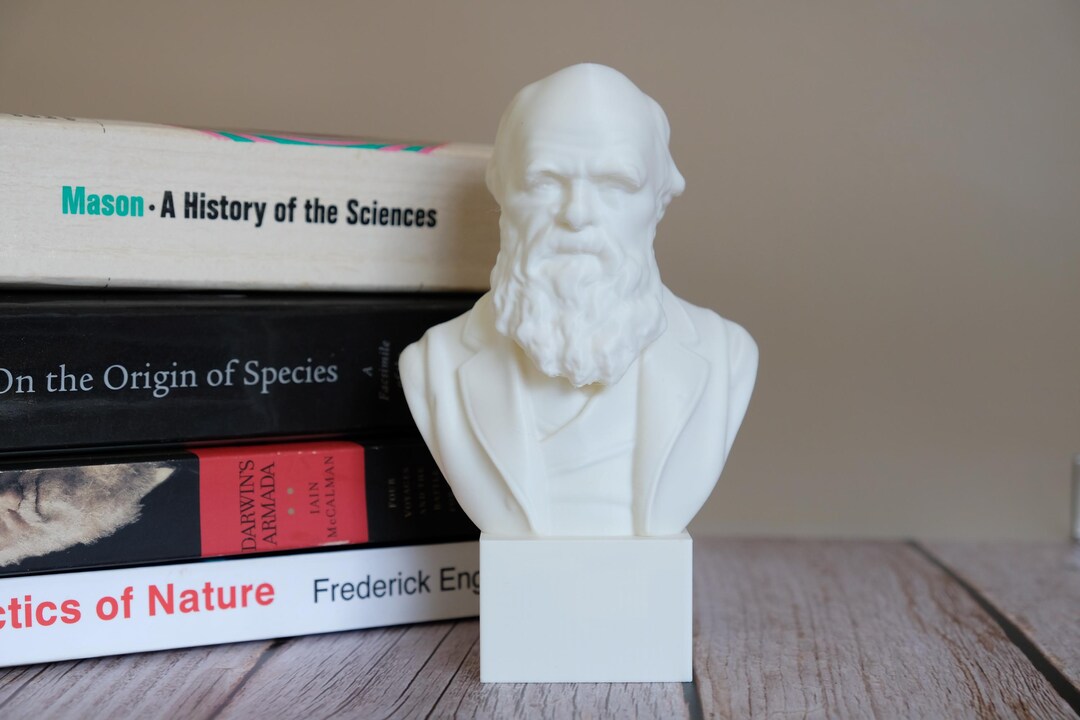 Charles Darwin Bust, Scientist Desk Decor, Evolution Theory Tribute ...