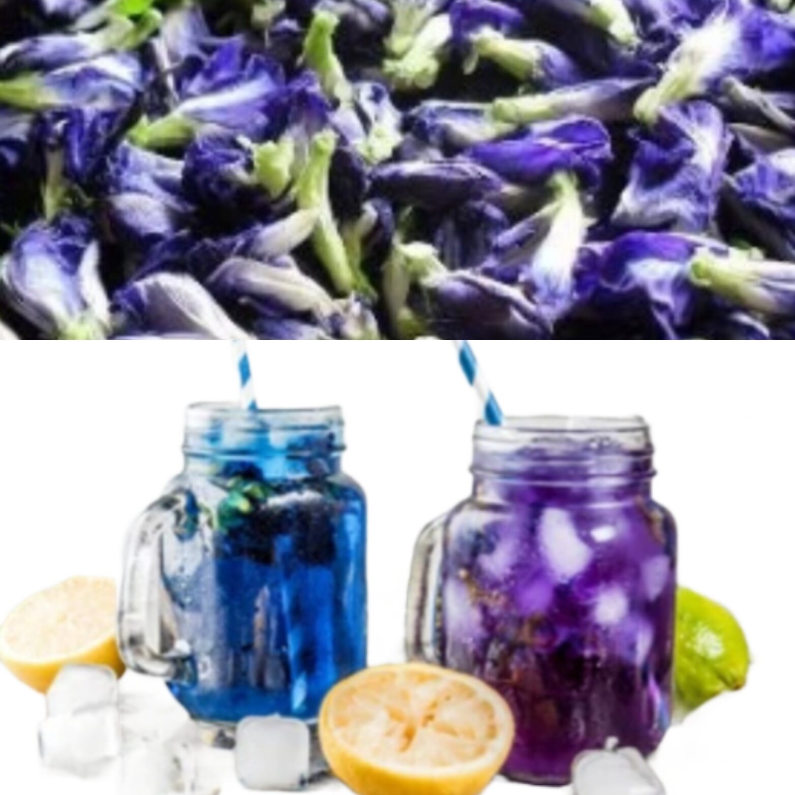 1 Lb ORGANIC BUTTERFLY PEA Blue Tea Flower Whole Petal Dried Dry Wild ...