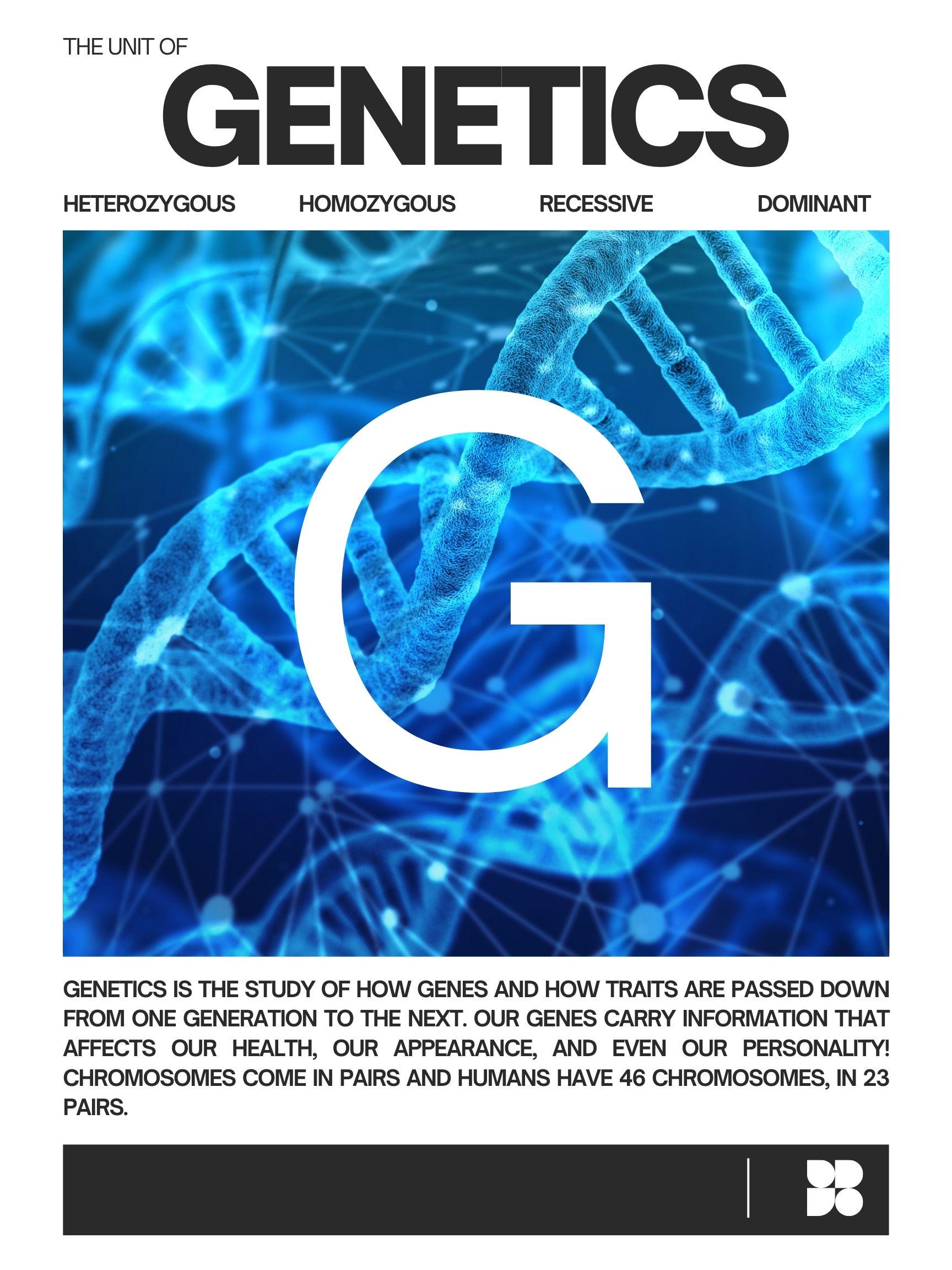 Modern Blue Biology Classroom Posters With Vocabulary (set of 7) for ...