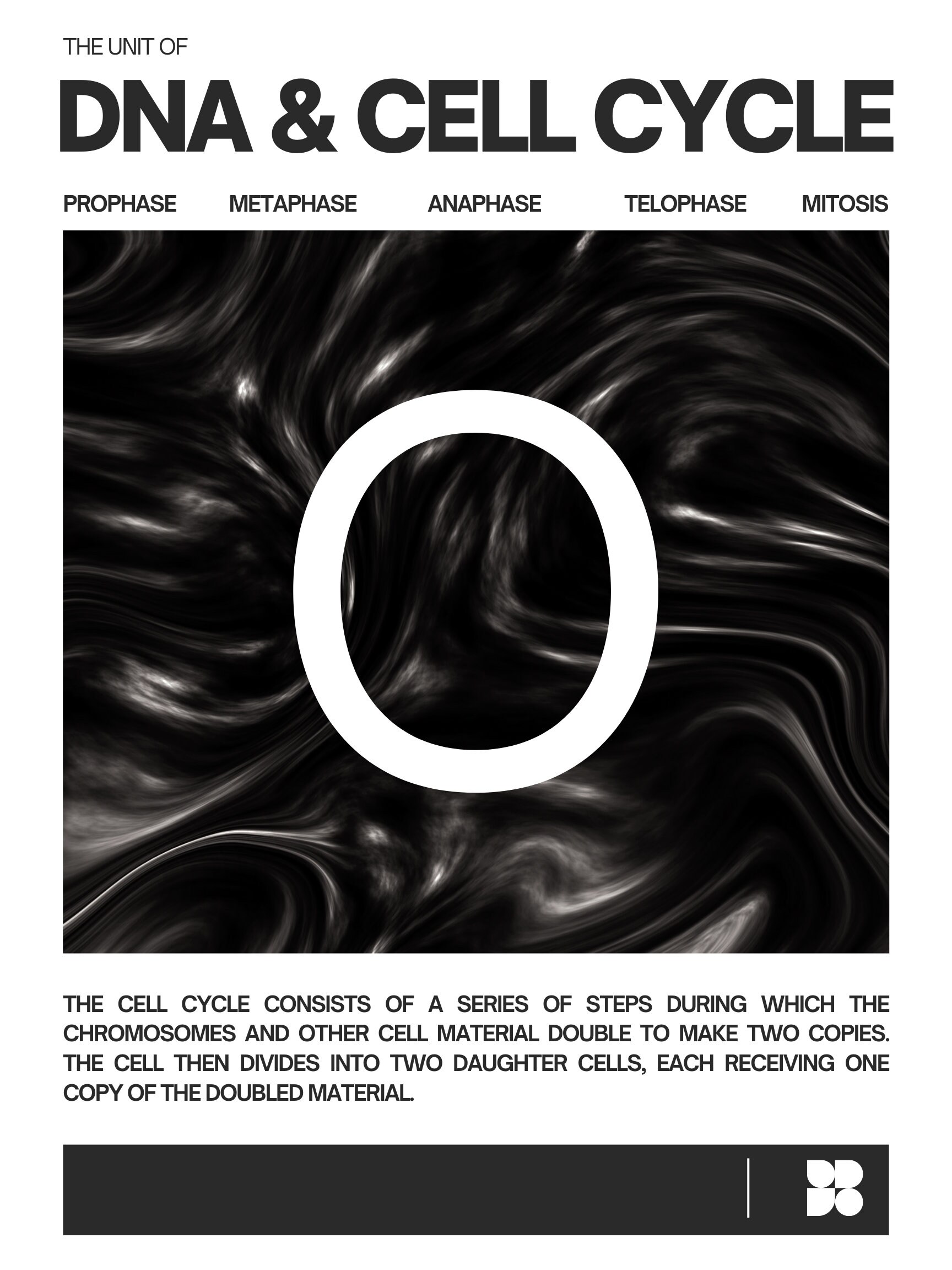 Biology Classroom Posters: High School Science Vocabulary (set of 7 ...