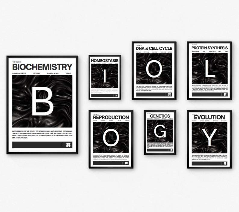 Modern Biology Classroom Posters With Vocabulary (set of 7) for the ...