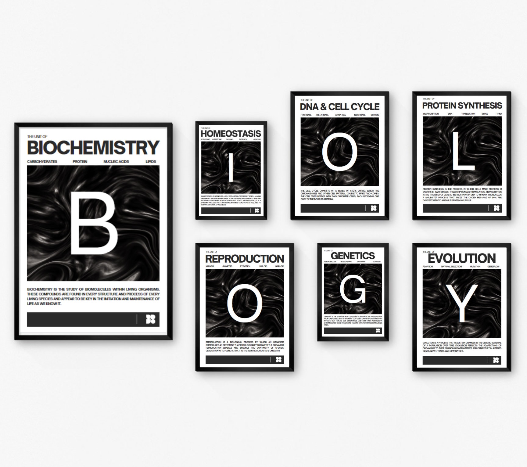 Modern Biology Classroom Posters With Vocabulary (set of 7) for the ...