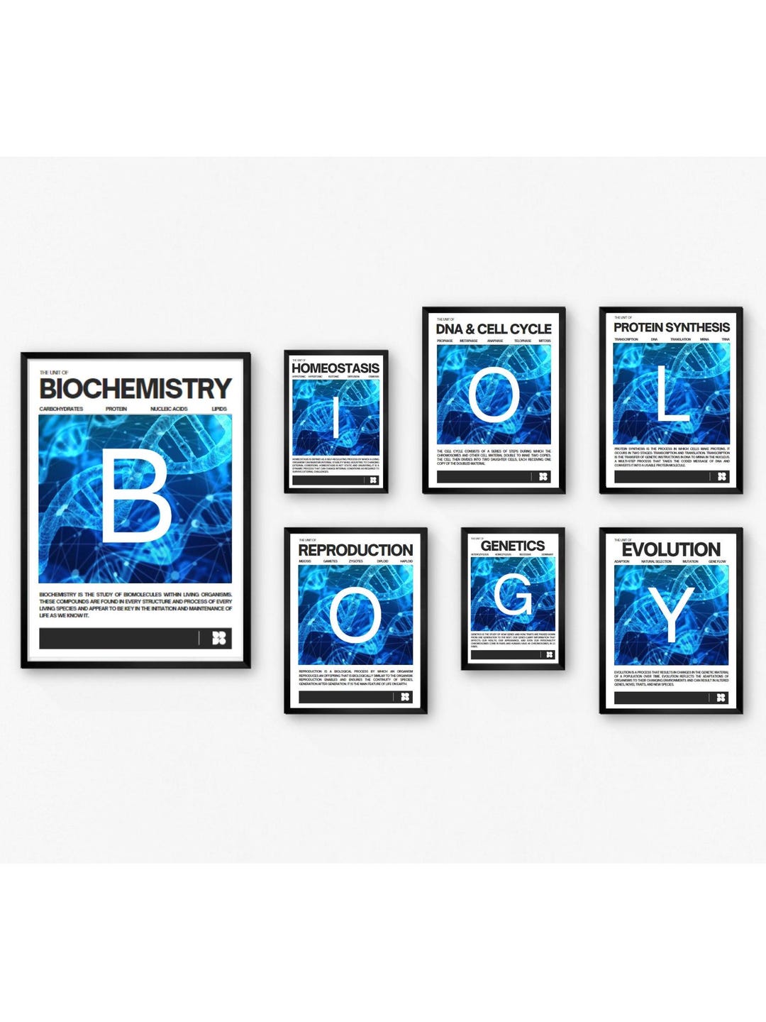 Modern Blue Biology Classroom Posters With Vocabulary (set of 7) for ...