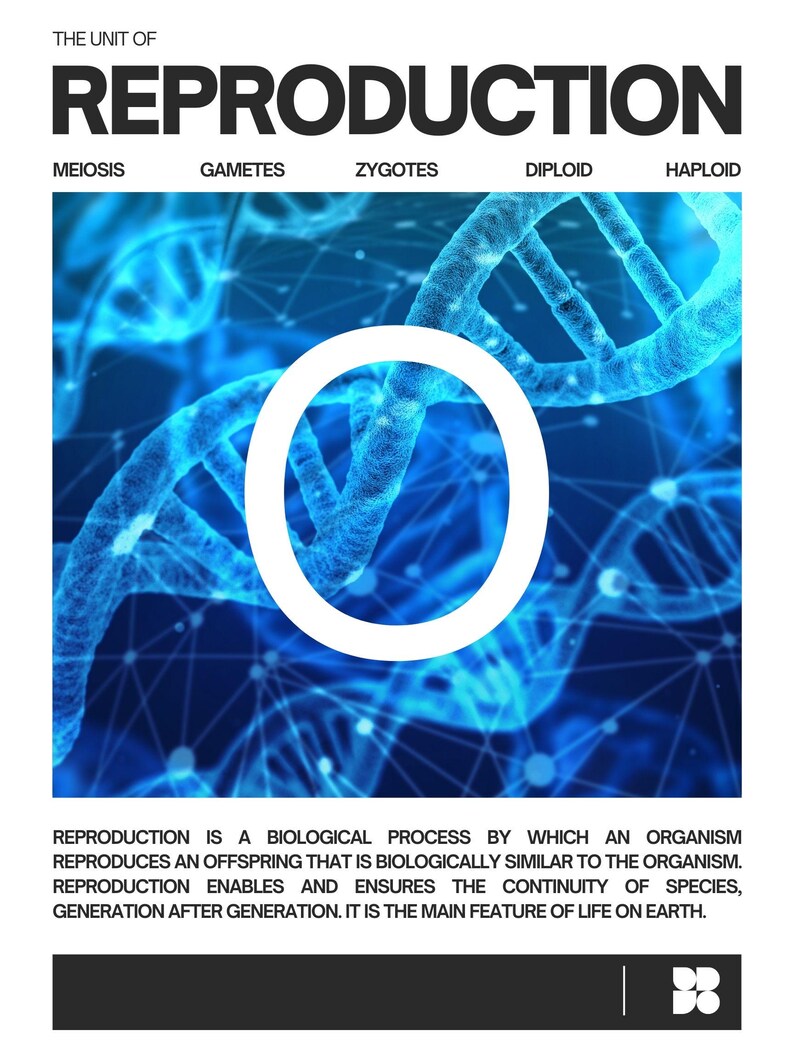 Modern Blue Biology Classroom Posters With Vocabulary (set of 7) for ...