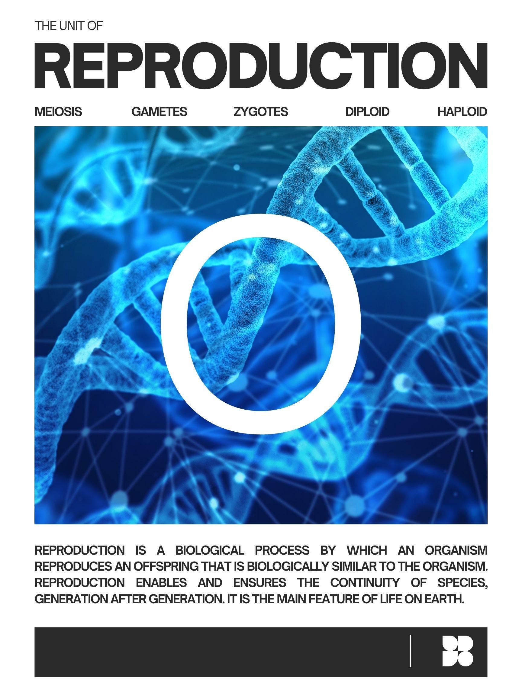 Modern Blue Biology Classroom Posters With Vocabulary (set of 7) for ...