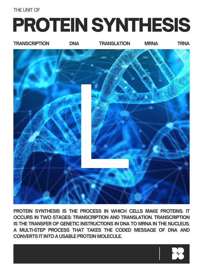 Modern Blue Biology Classroom Posters With Vocabulary (set of 7) for ...