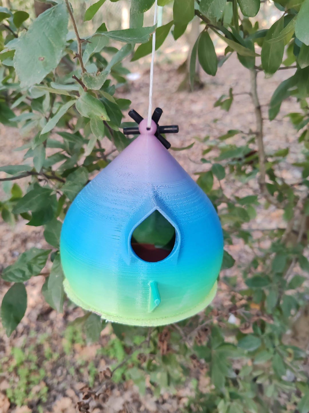 Bubble Bird House – Magnificent Garden, Balcony, and Veranda Decor for ...