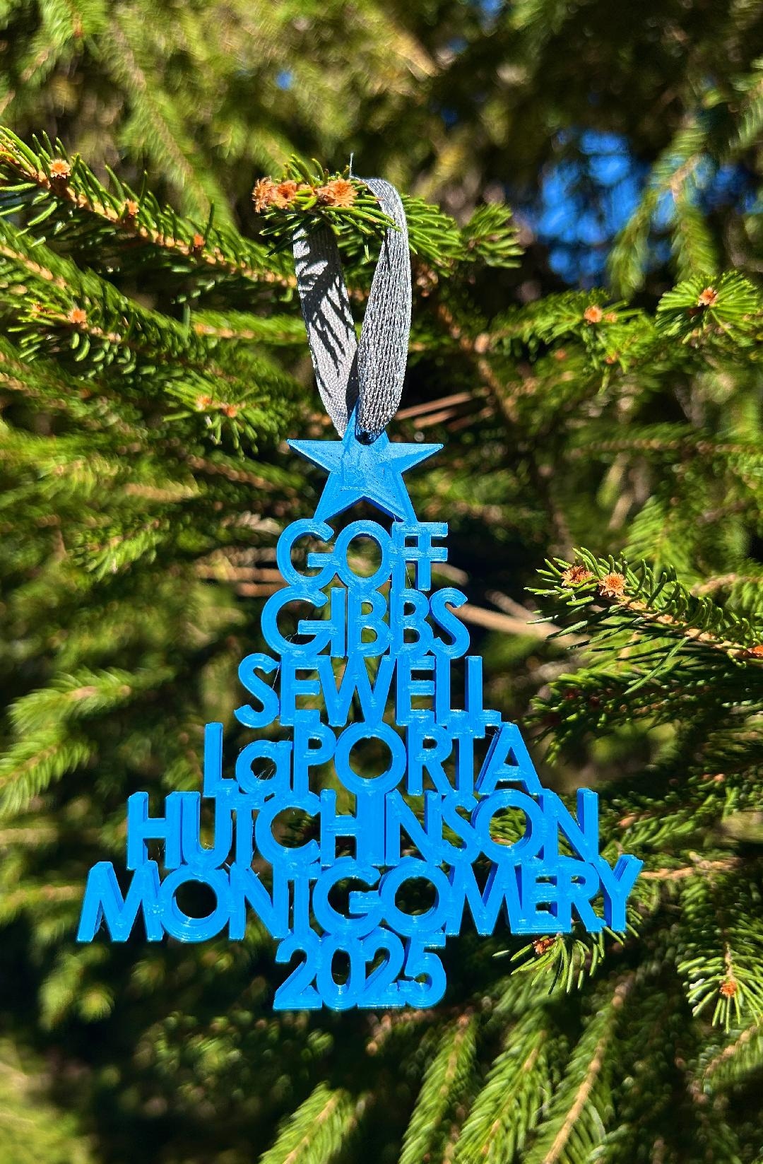2025 Detroit Lions 3D Printed Christmas Tree Ornament - Etsy