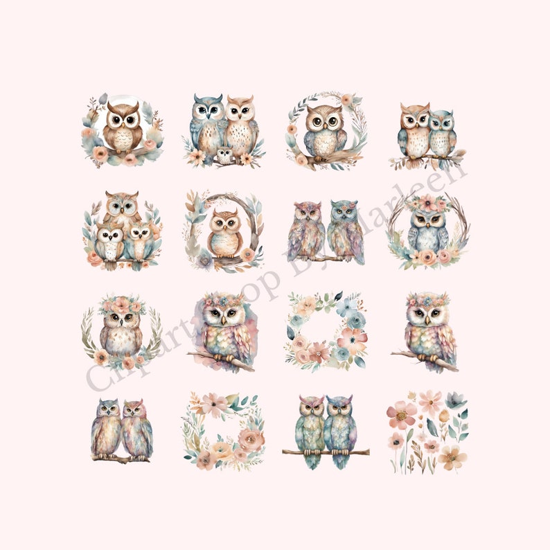 Boho Owl Clipart Bundle | Watercolor Baby Animals (digital Download) - Etsy