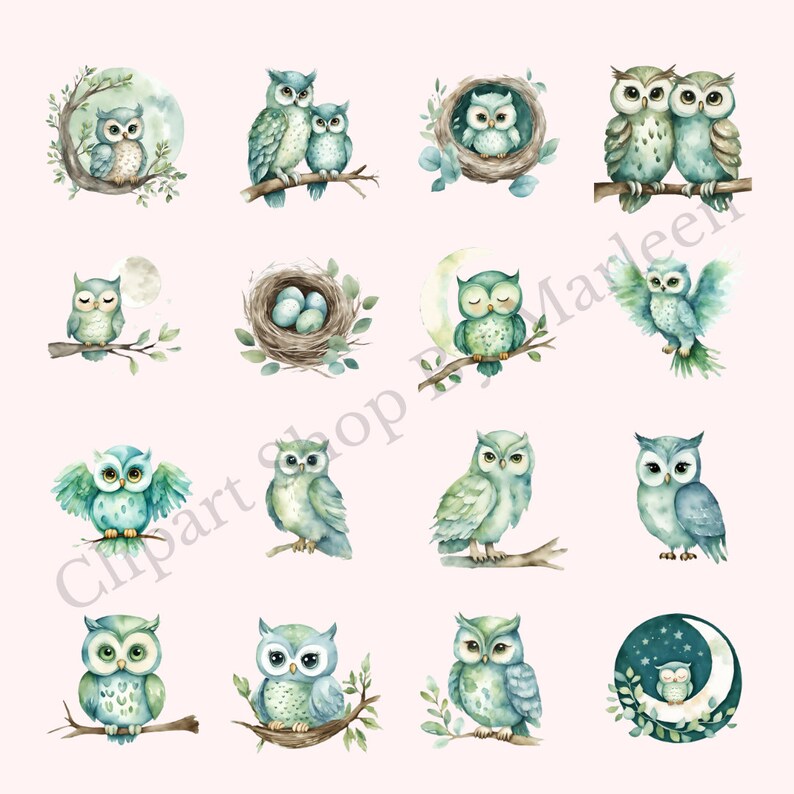 Blue Green Owl Clipart | Watercolor Animal Graphics (SVG, PNG) - Etsy