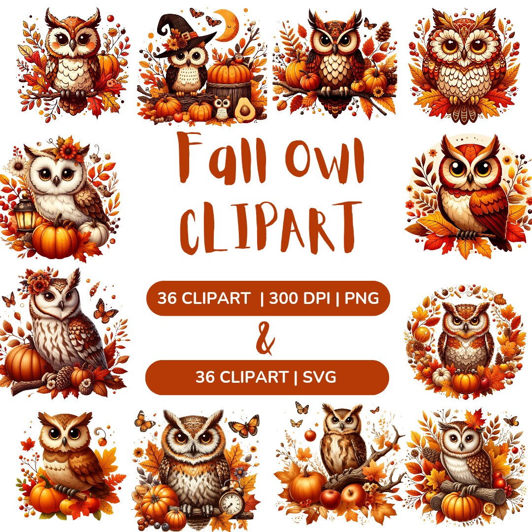 Fall Owl Clipart Bundle | Cozy Autumn Graphics (SVG, PNG) - Etsy
