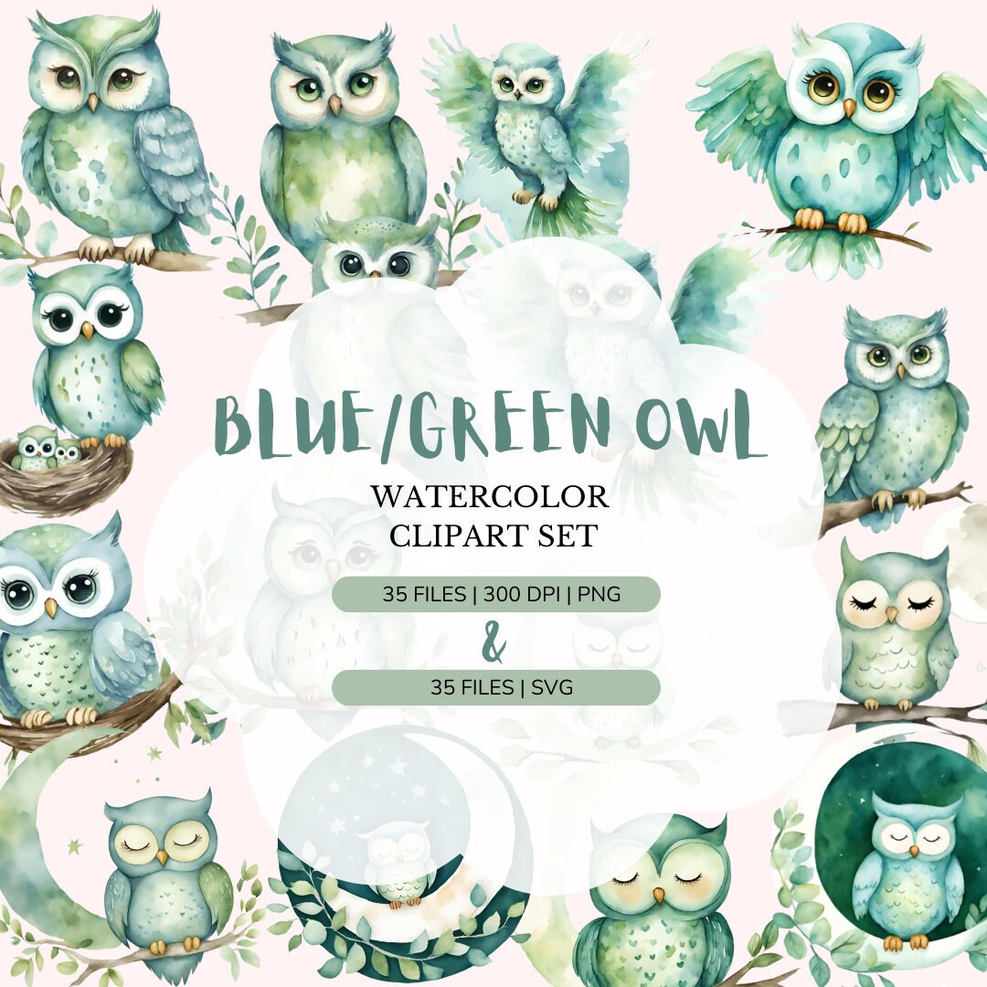 Blue Green Owl Clipart | Watercolor Animal Graphics (SVG, PNG) - Etsy