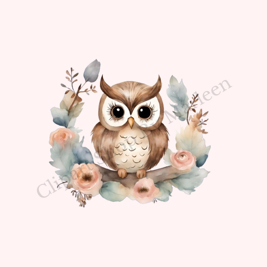 Boho Owl Clipart Bundle | Watercolor Baby Animals (digital Download) - Etsy