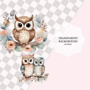 Boho Owl Clipart Bundle | Watercolor Baby Animals (digital Download) - Etsy