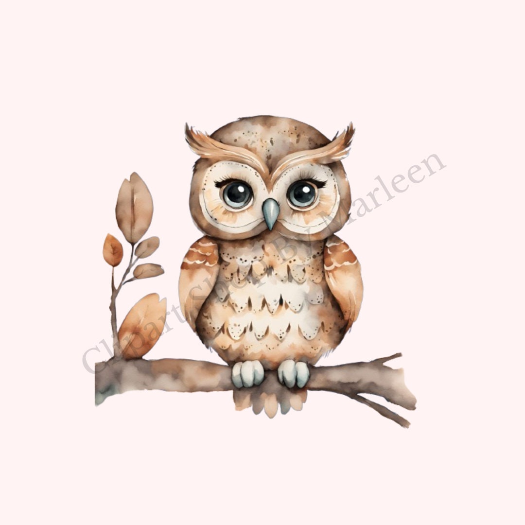 Boho Owl Clipart Bundle | Watercolor Baby Animals (digital Download) - Etsy