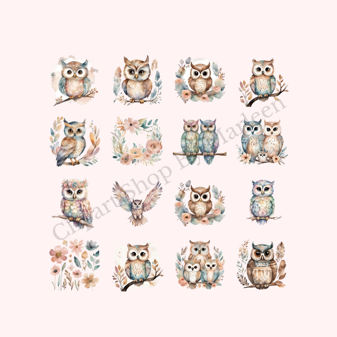 Boho Owl Clipart Bundle | Watercolor Baby Animals (digital Download) - Etsy