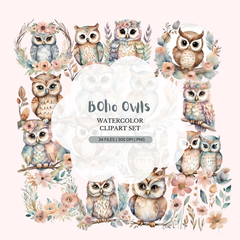 Boho Owl Clipart Bundle | Watercolor Baby Animals (digital Download) - Etsy