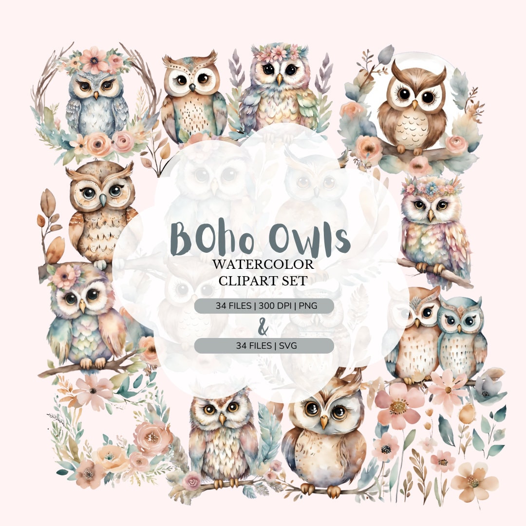 Boho Cute Owl SVG PNG | Baby Animal Clip Art Svg Png | Watercolor ...