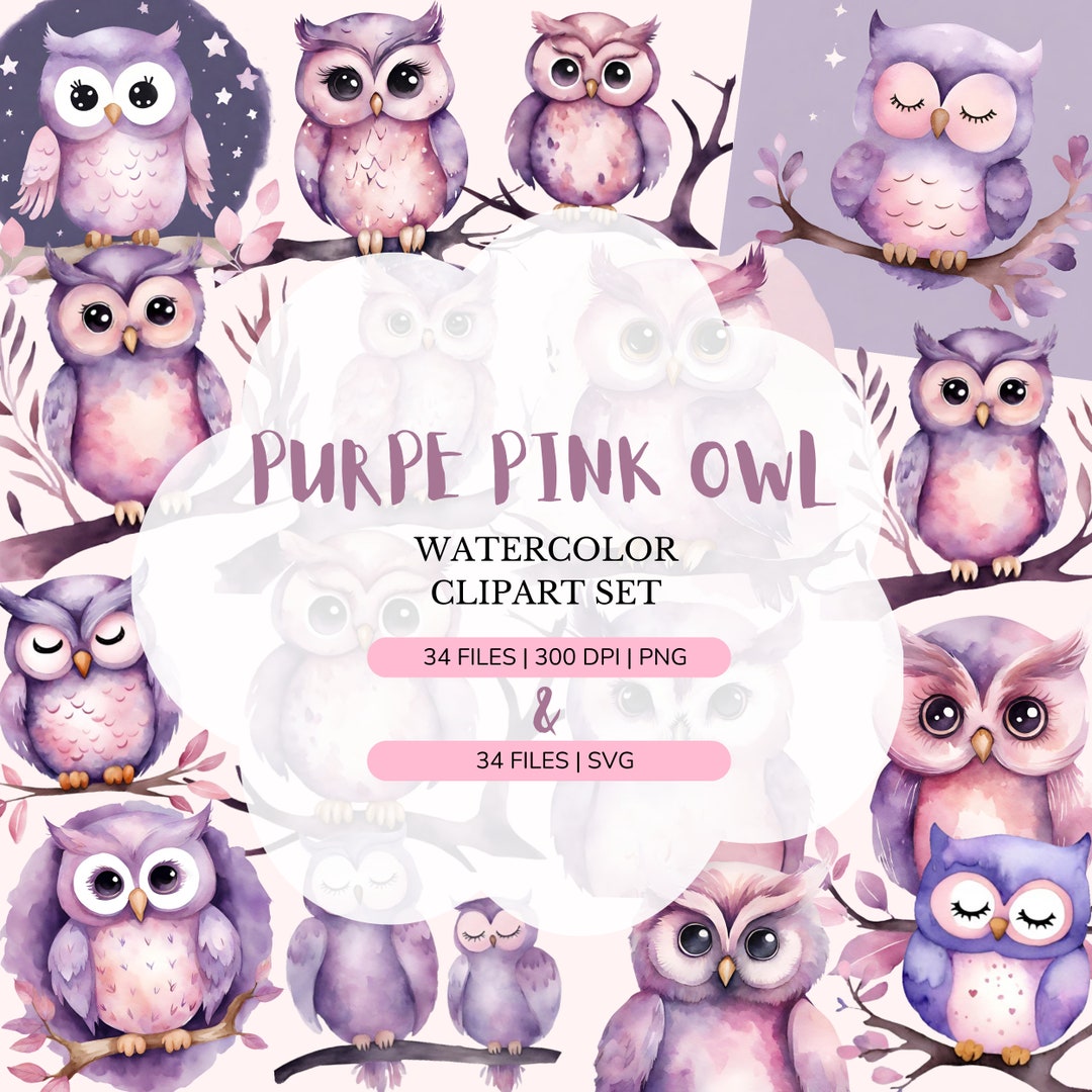 Pink Purple Cute Owl SVG PNG Baby Animal Clip Art Watercolor Clipart ...
