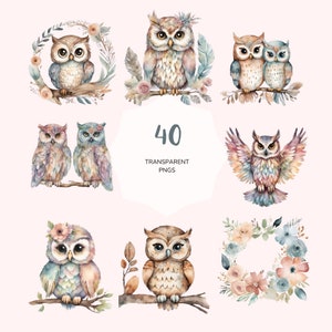 Boho Owl Clipart Bundle | Watercolor Baby Animals (digital Download) - Etsy