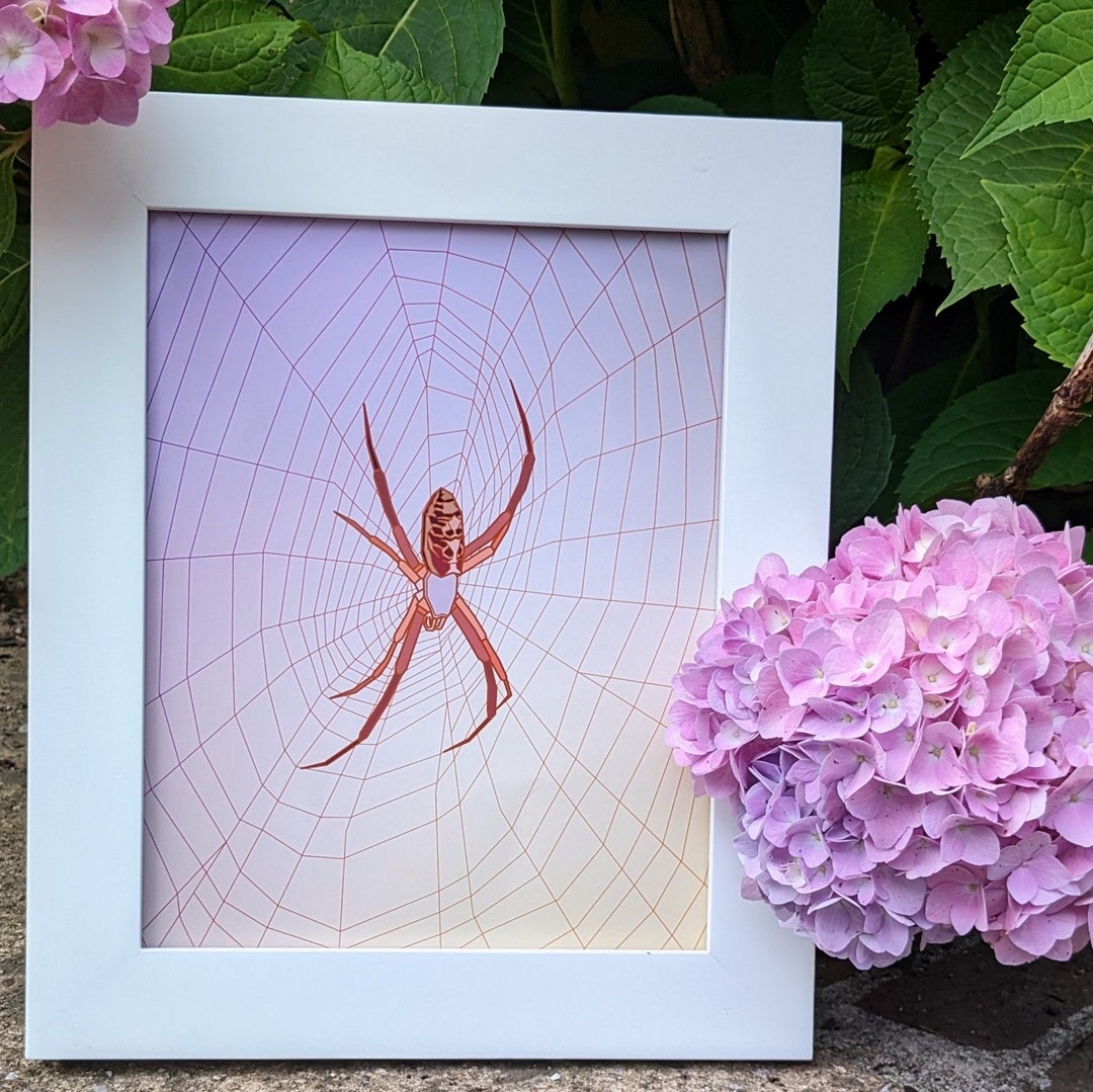 Sunset Garden Spider Geometric 8x10 Art Print - Etsy