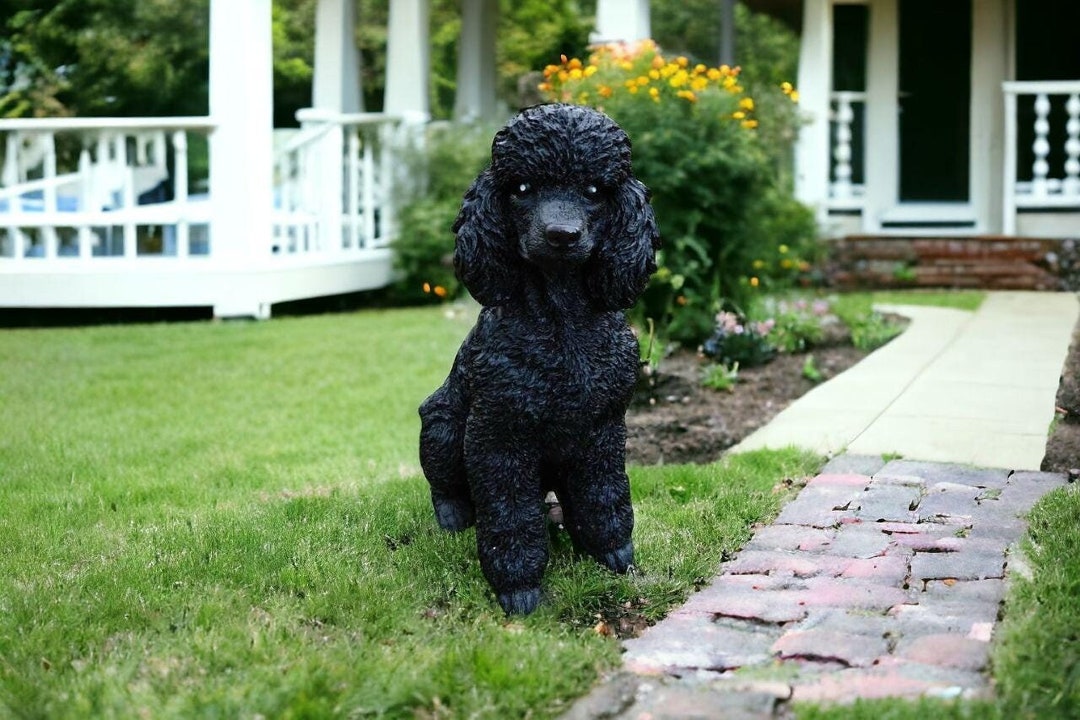 Large Poodle, Sitting Poople, Garden Statue, Concrete Dog, Black Poodle ...