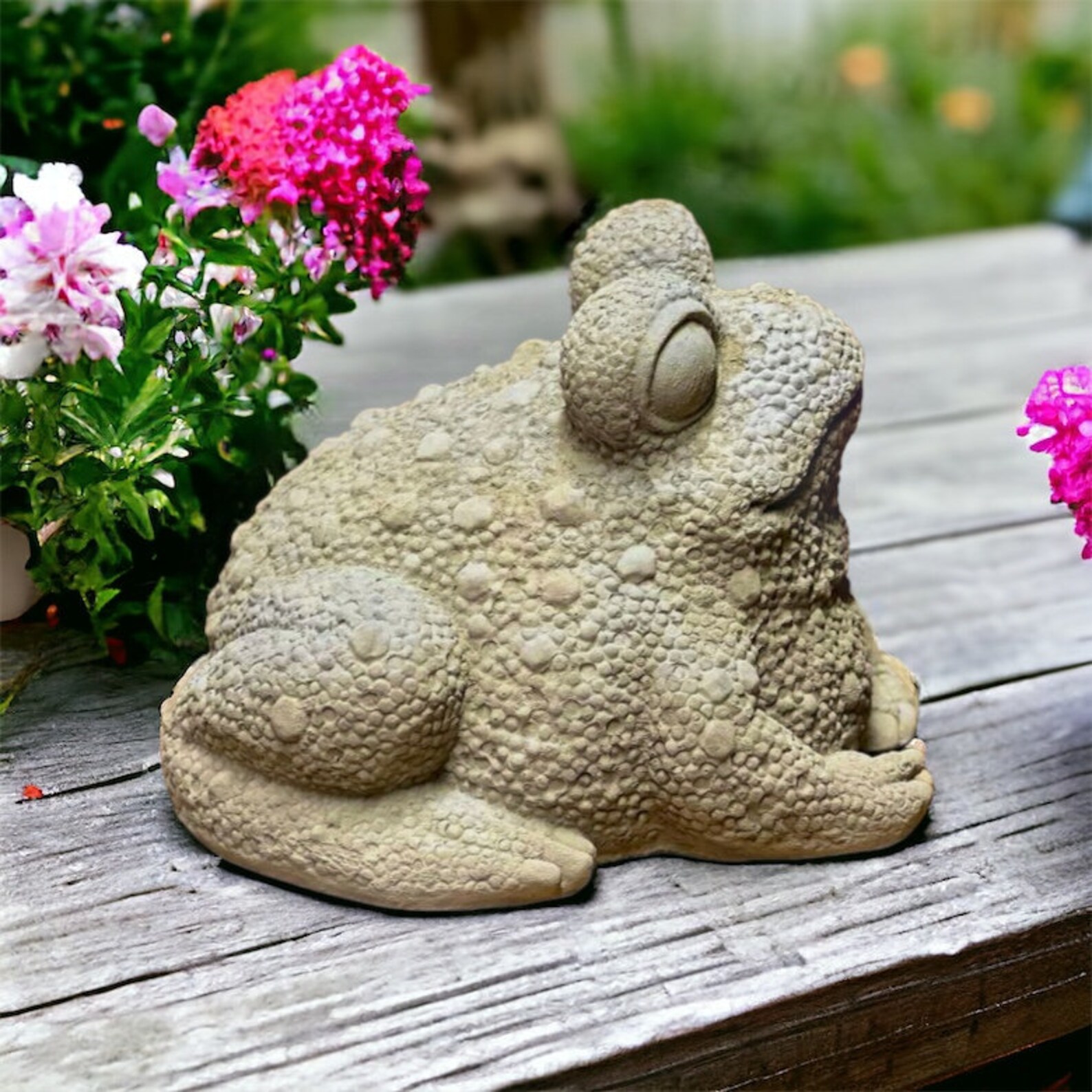 Massive Frog, Detailed Figurine, Concrete Frog, Sitting Toad, Frog ...