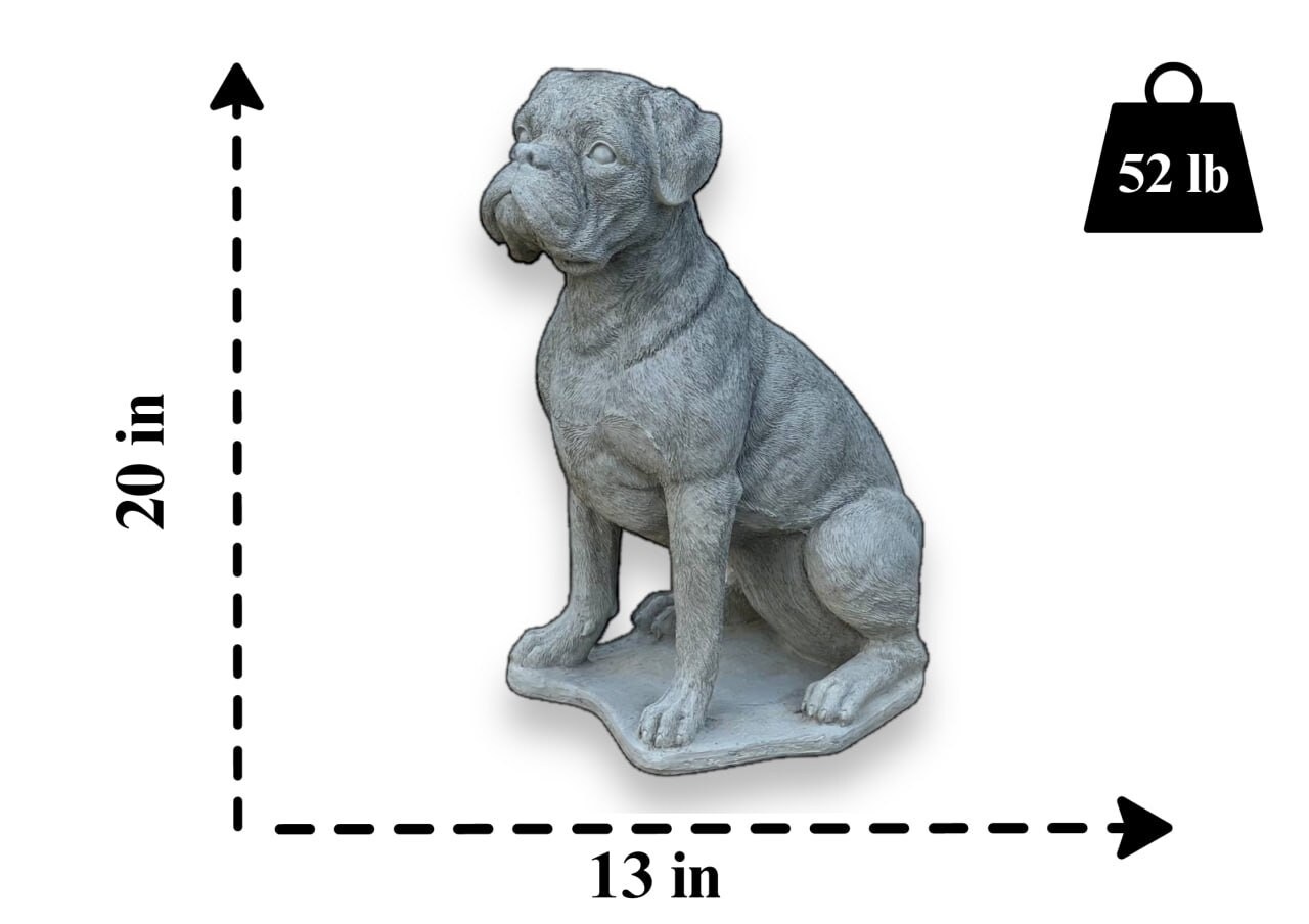 Realistic Boxer, Garden Figure, Boxer Dog, Concrete Boxer, Dog Statue ...