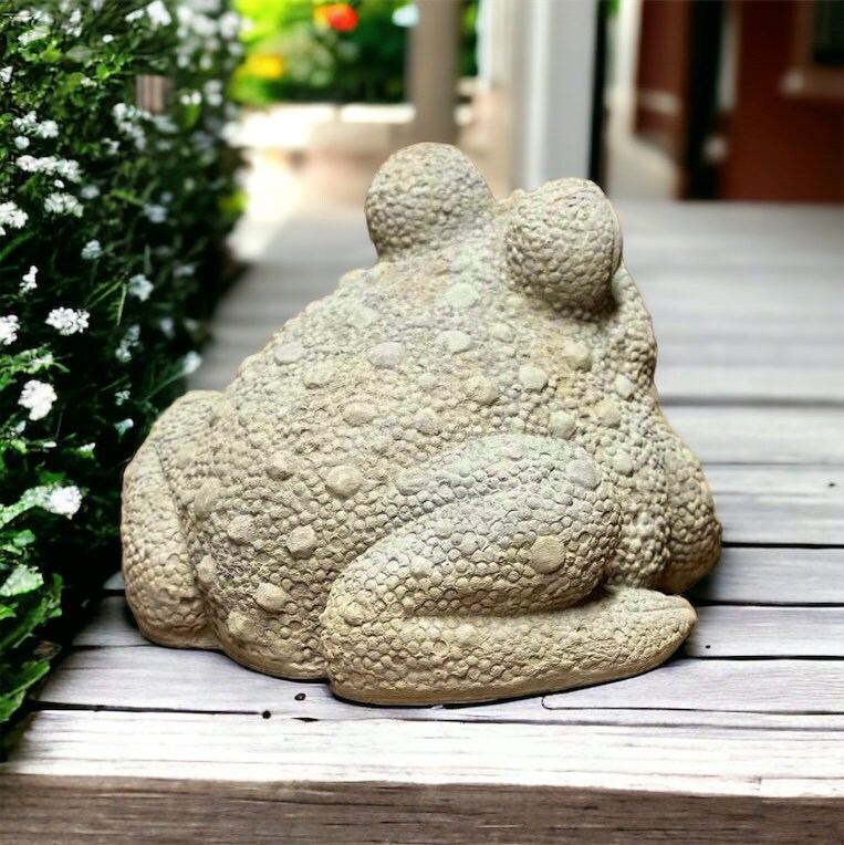 Massive Frog, Detailed Figurine, Concrete Frog, Sitting Toad, Frog ...