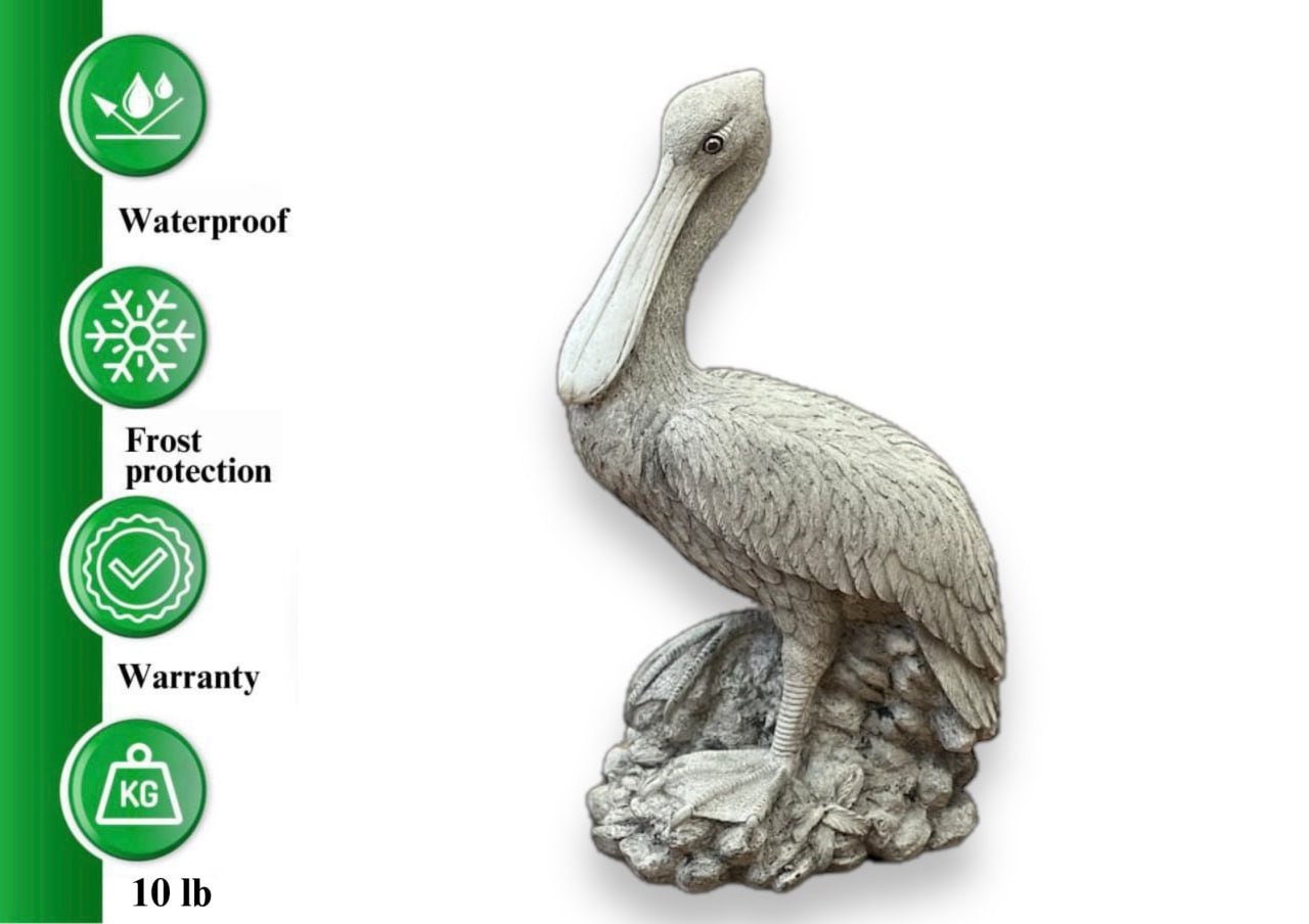 Concrete Pelican, Bird Statue, Lake Bird, Pelican Sculpture, Wild ...