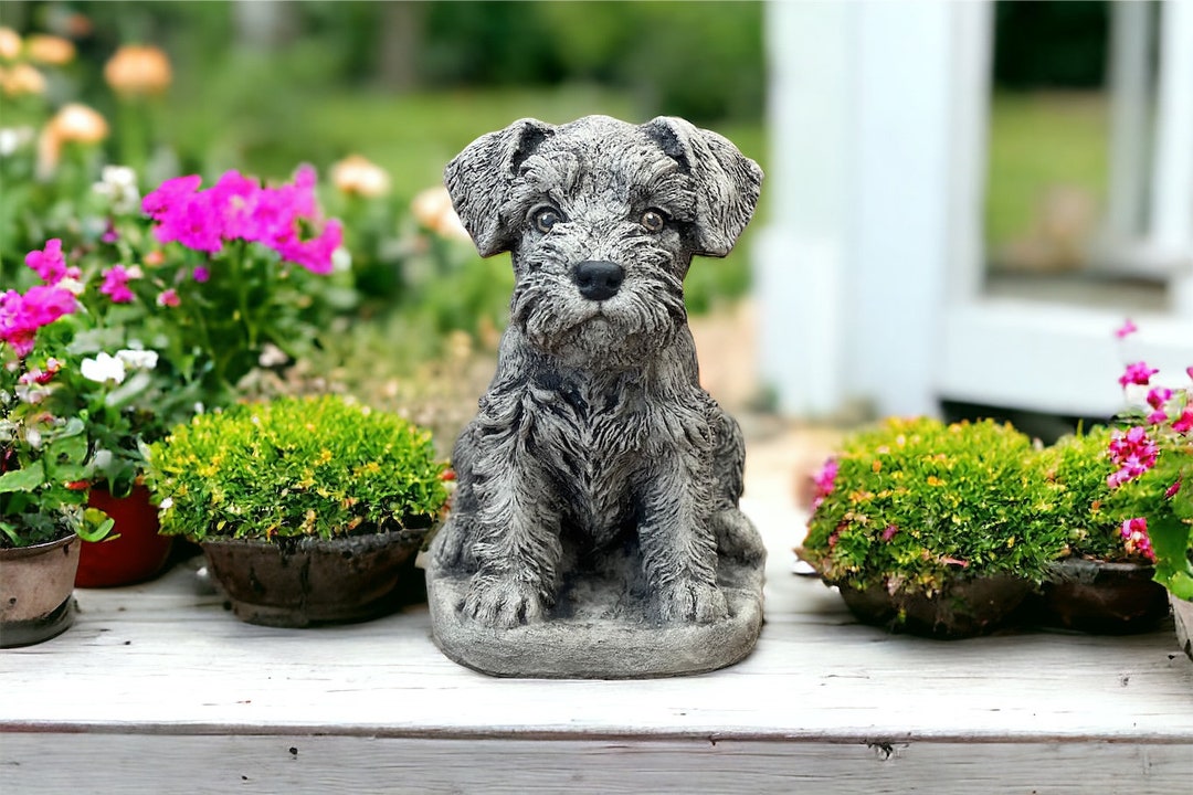 Schnauzer Statue, Dog Sculpture, Concrete Schnauzer, Garden Dog, Puppy ...