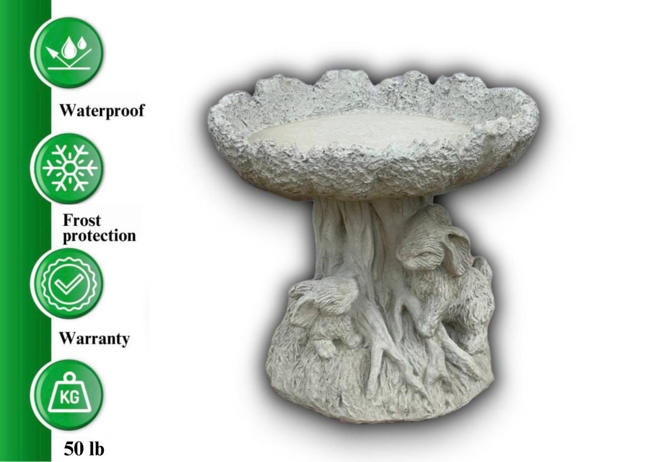 Large Bird Bath, Concrete Drinker, Bird Bowl Statue, Drinker With ...