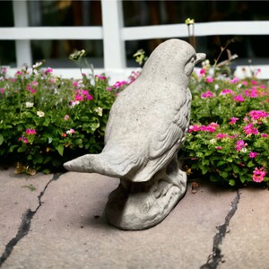 Robin Statue, Concrete Bird, Porch Sculpture, Birds Lovers Gift, Robin ...