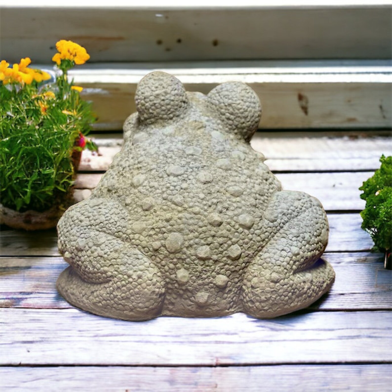 Massive Frog, Detailed Figurine, Concrete Frog, Sitting Toad, Frog ...