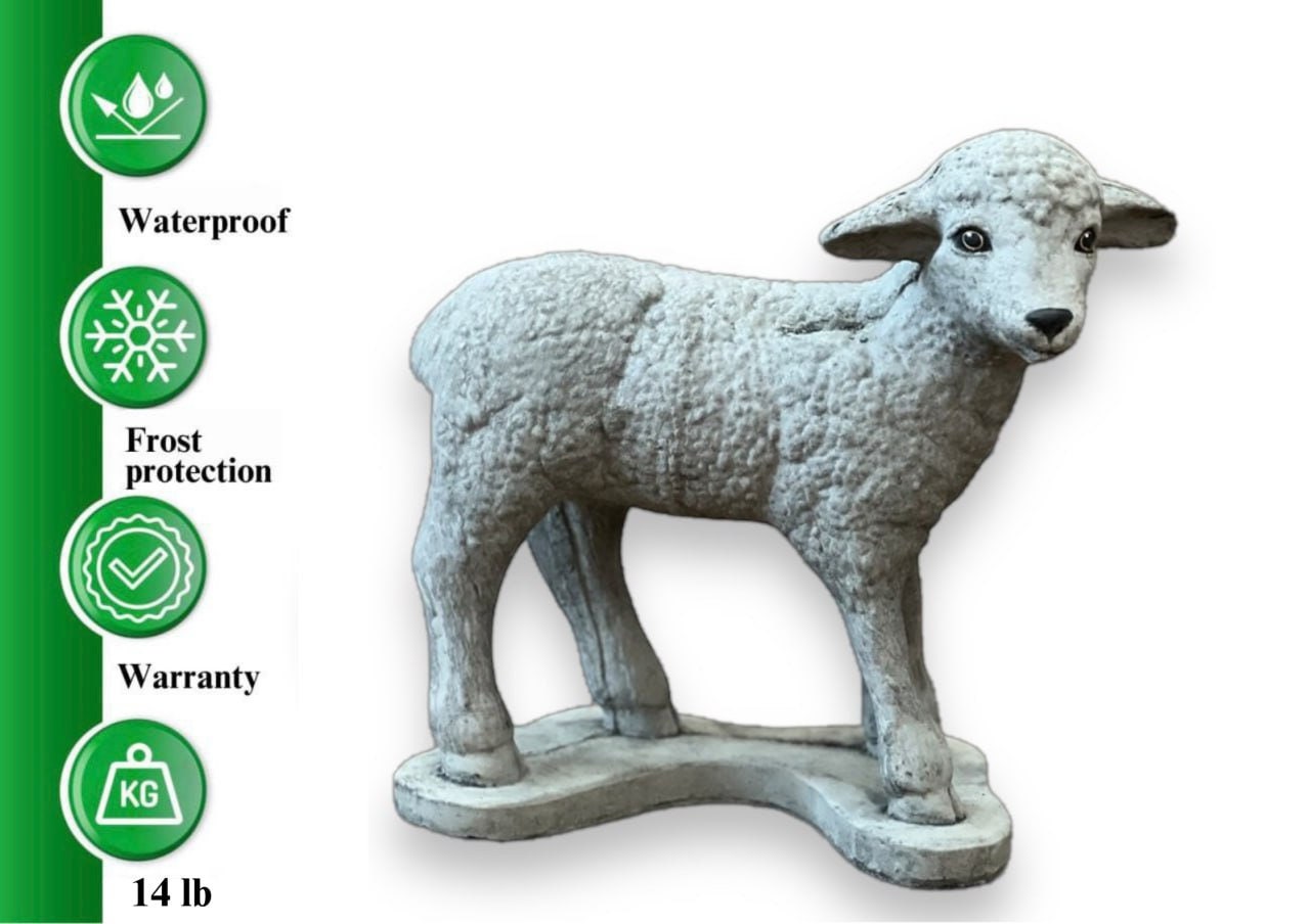 Lamb Sculpture, Concrete Sheep, Standing Lamb, Farm Style, Outdoor ...