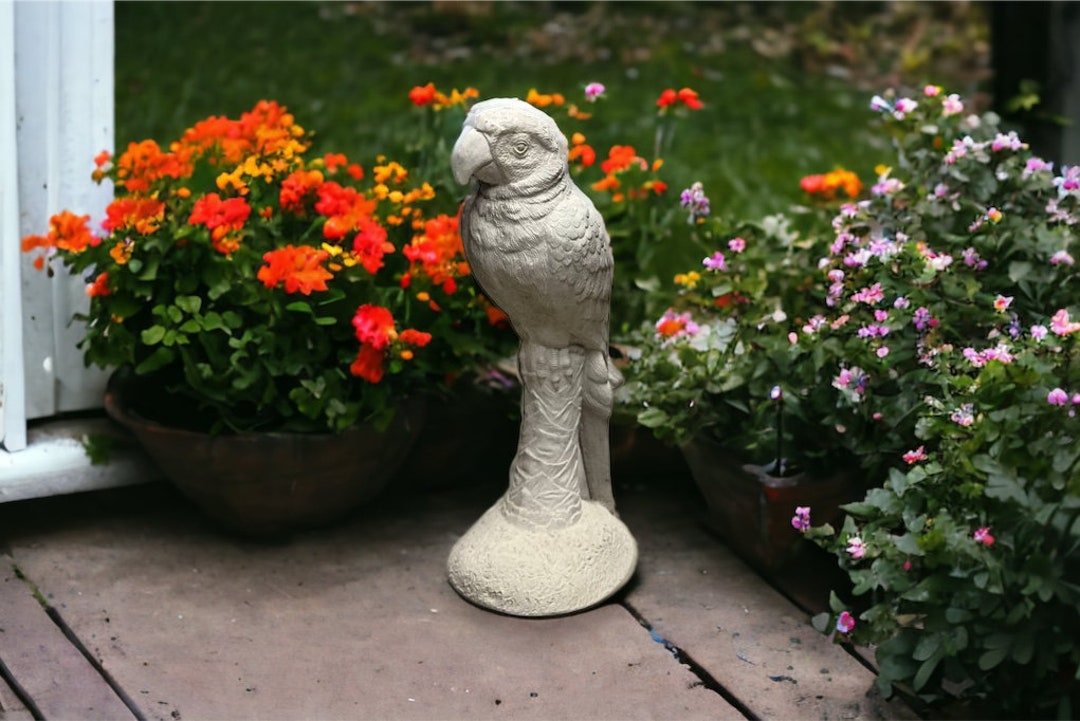 Bird Parrot, Realistic Parrot, Home Bird Statue, Parrot Figure ...