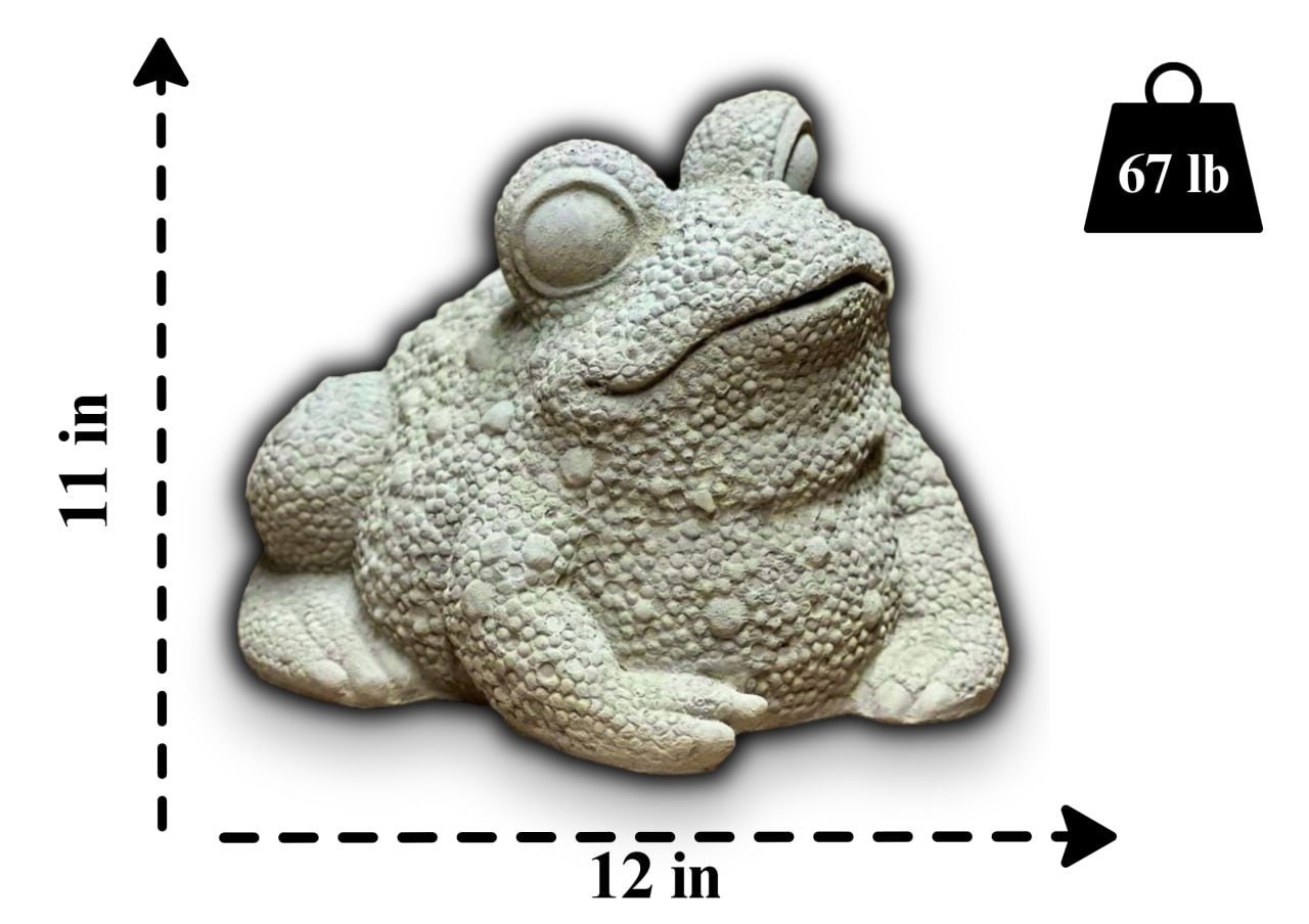 Massive Frog, Detailed Figurine, Concrete Frog, Sitting Toad, Frog ...