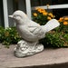 Robin Statue, Concrete Bird, Porch Sculpture, Birds Lovers Gift, Robin ...