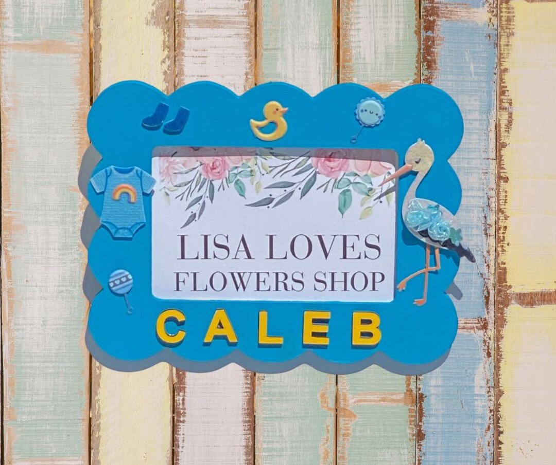 Custom Baby Boy Photo Frame: Stork & Duck Nursery Decor - Etsy