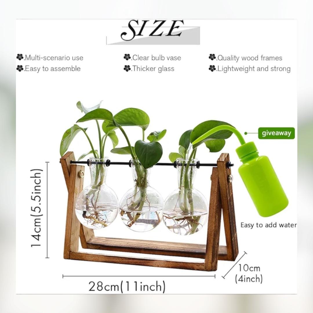 Hydroponic Plant Terrarium With Wooden Stand – 3 Bulb Glass Vase With ...
