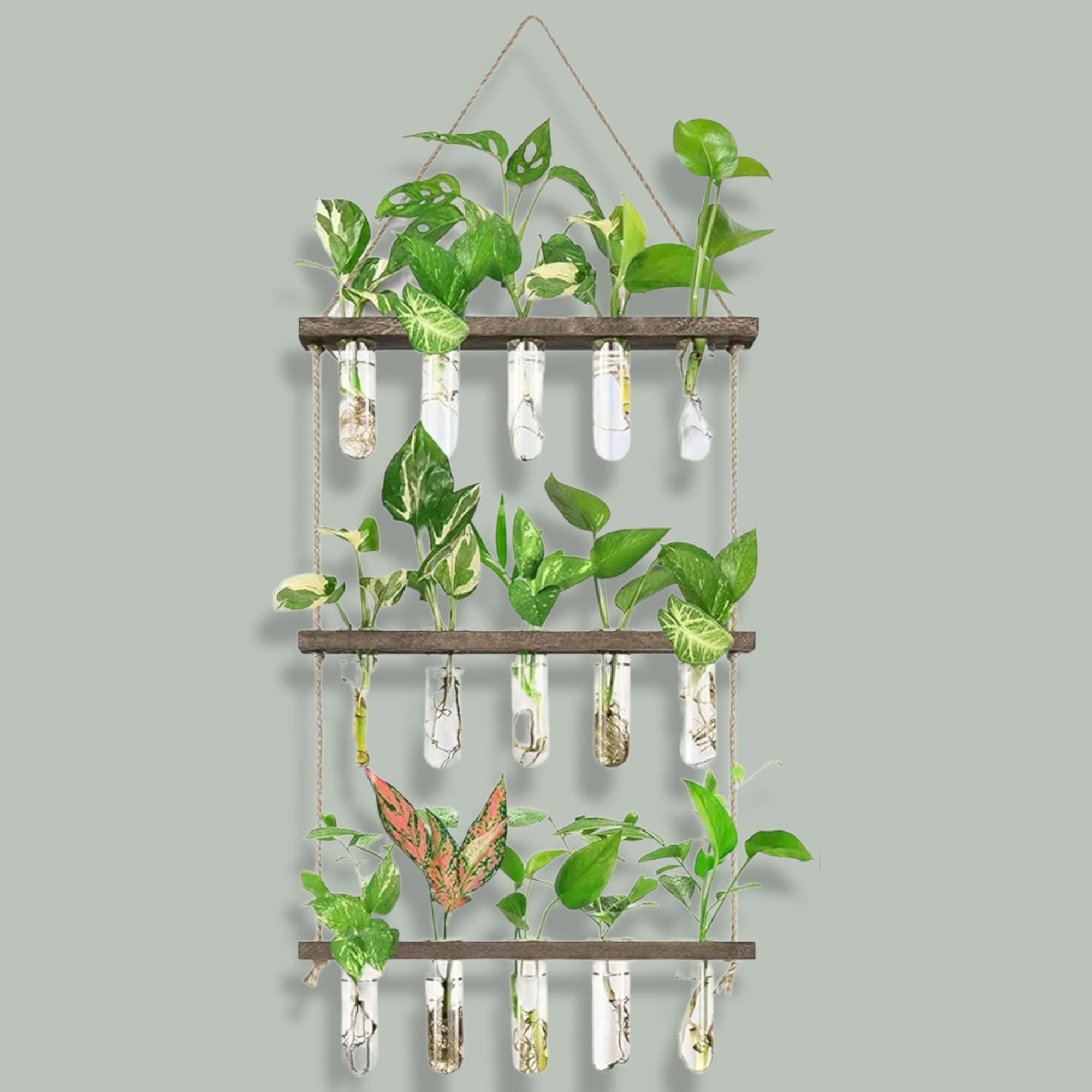 Wall Hanging Propagation Station With Wooden Stand - 3-tier Planters ...