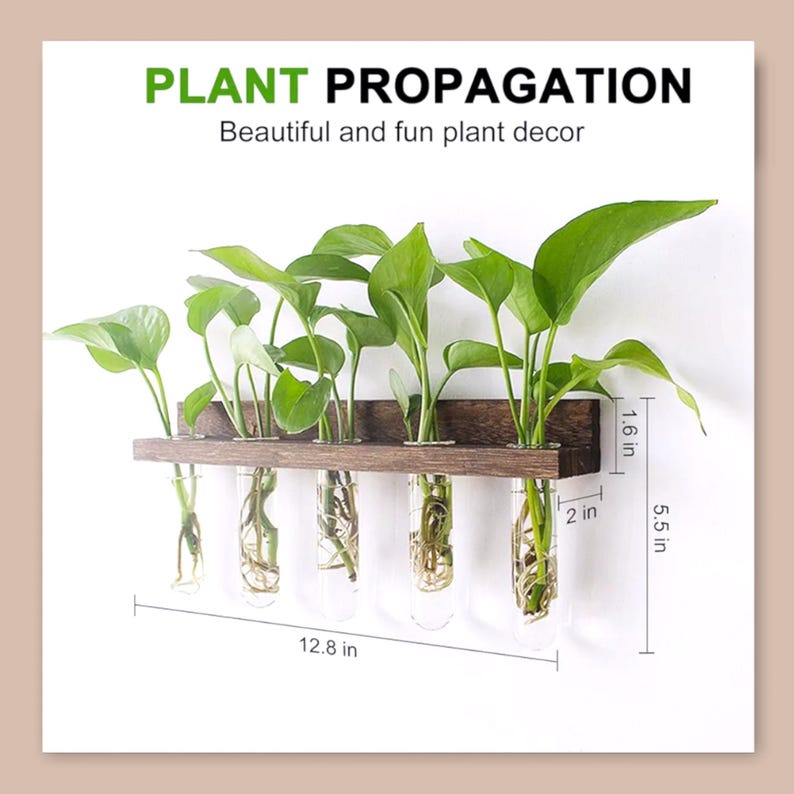 3-tier Plant Propagation Station With 15 Glass Test Tubes, Wall Hanging ...