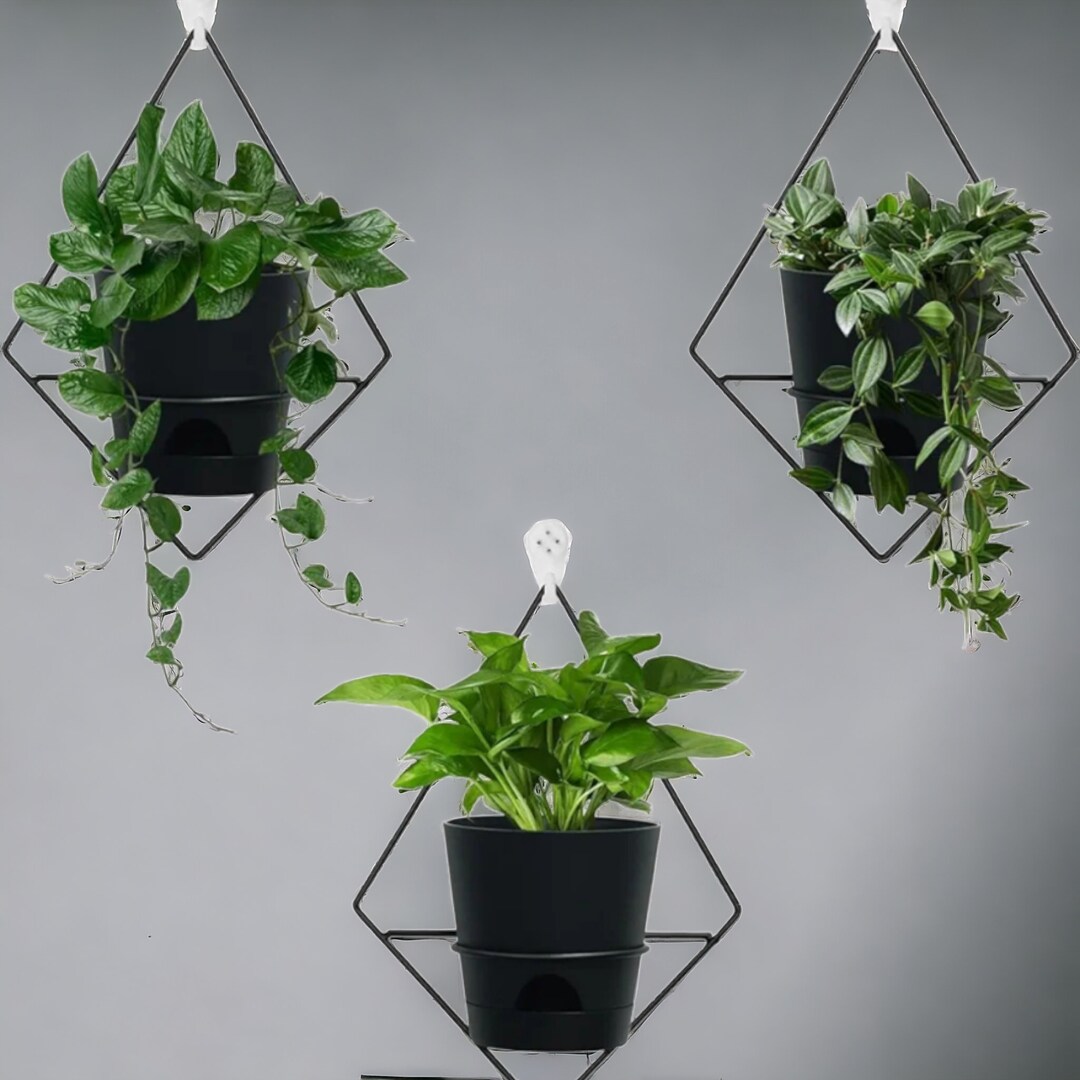 3 Sets of Geometric Self-watering Wall Planters | Indoor Hanging ...