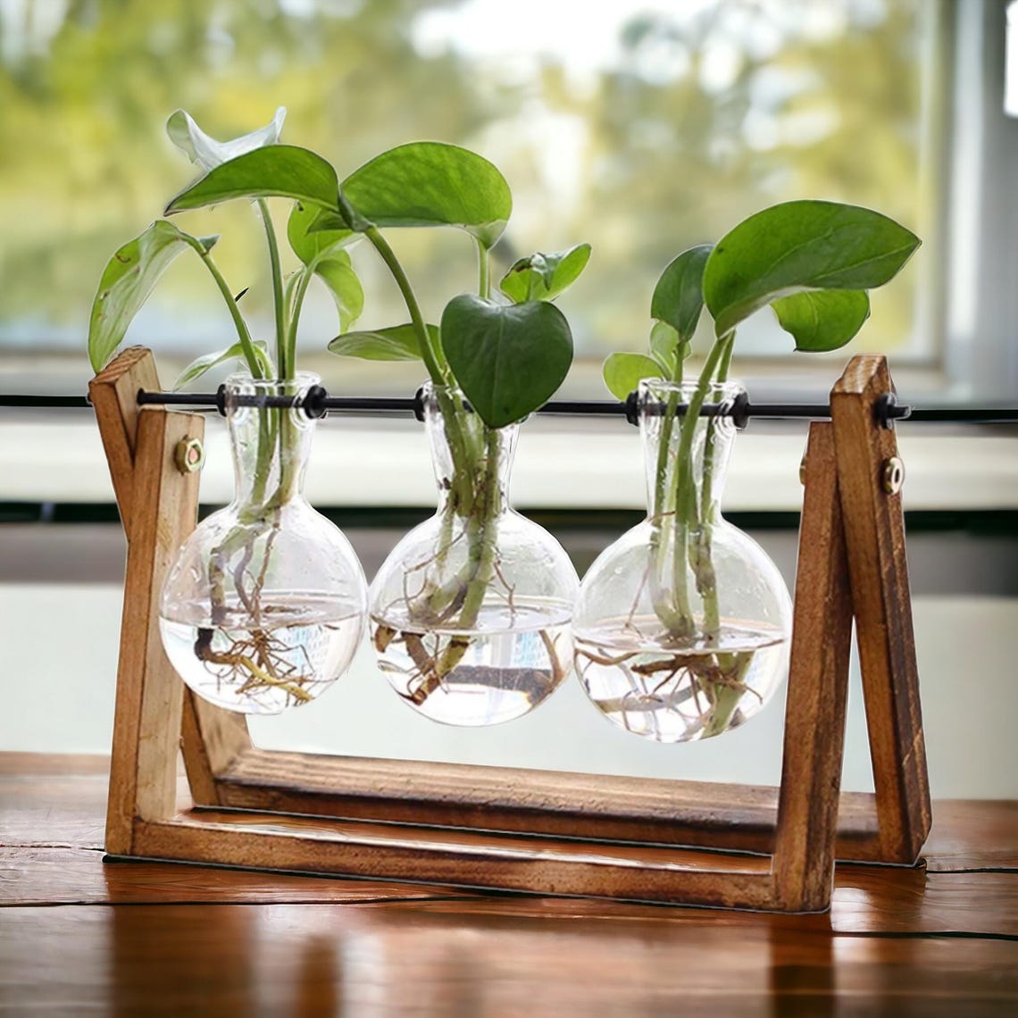 Hydroponic Plant Terrarium With Wooden Stand – 3 Bulb Glass Vase With ...