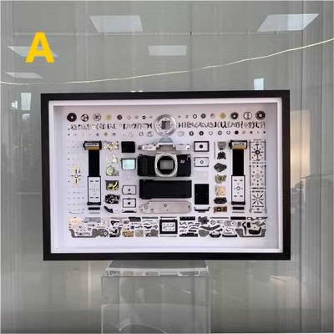 Disassemble Camera Wall Decor, Camera Teardown, Deconstructed Camera ...