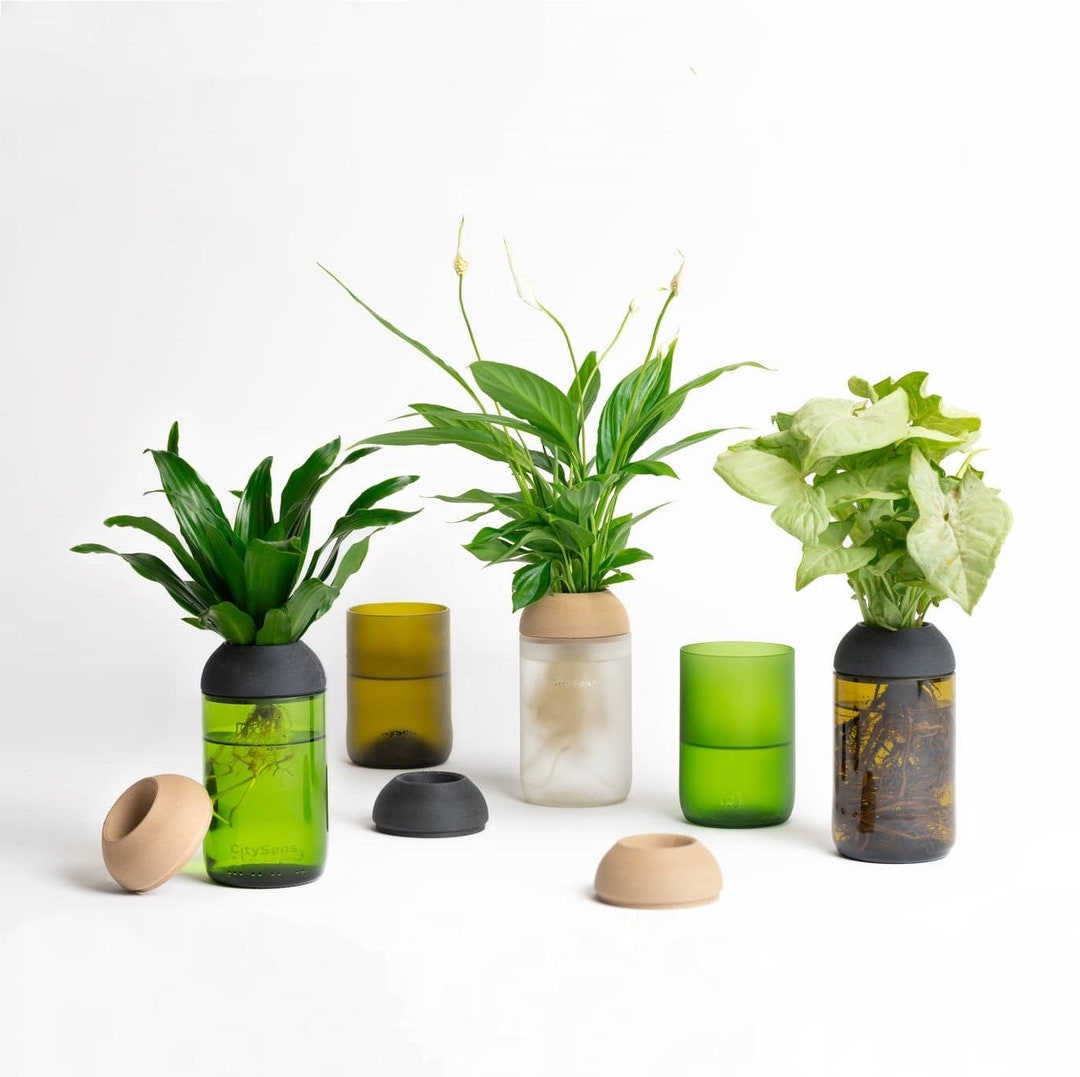 Citysens Transparent Planter With Plant - Etsy