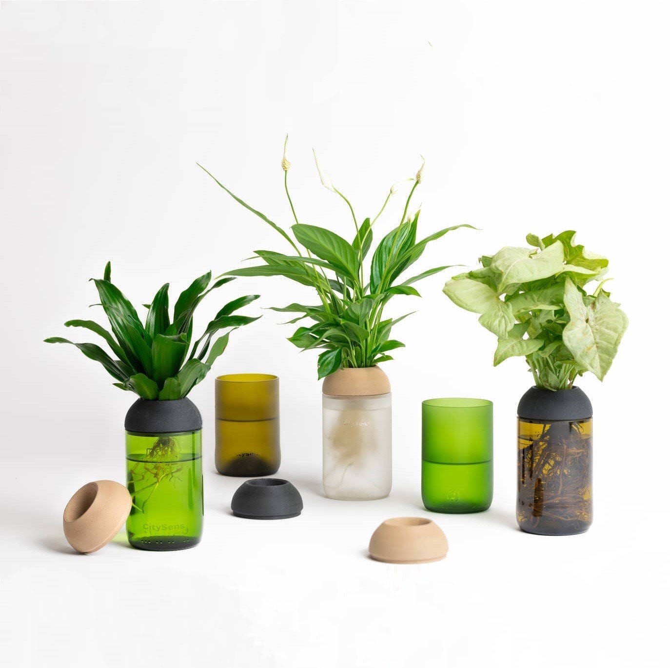 Citysens Transparent Planter With Plant - Etsy